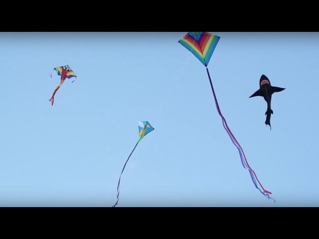Kites Flying