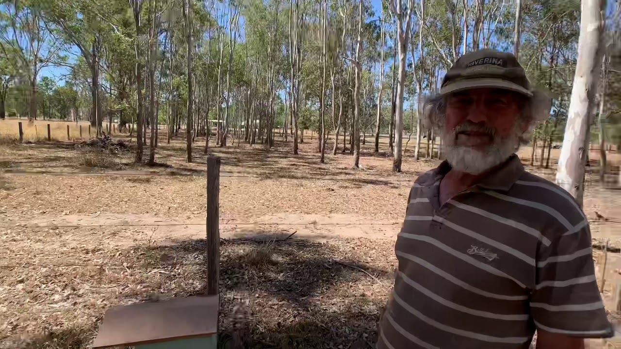 Wayne Allen Part 2 🐝 - YouTube