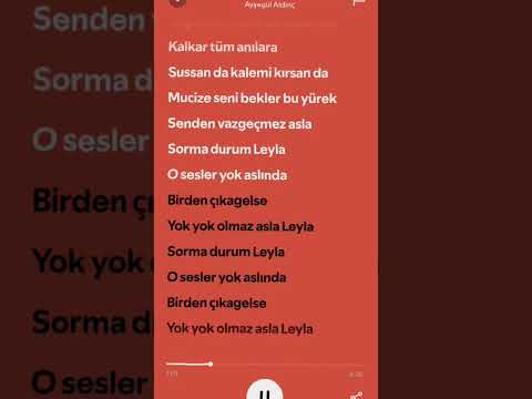 Ayşegül Aldinç - durum Leyla (şarkı sözleri)