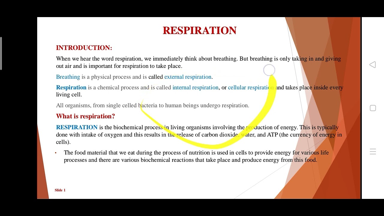 what is respiration type of respiration #class 10 bio chapter life ...