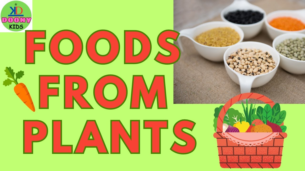 Foods From Plants||Fruits||Vegetables||Different Parts of Plants ...