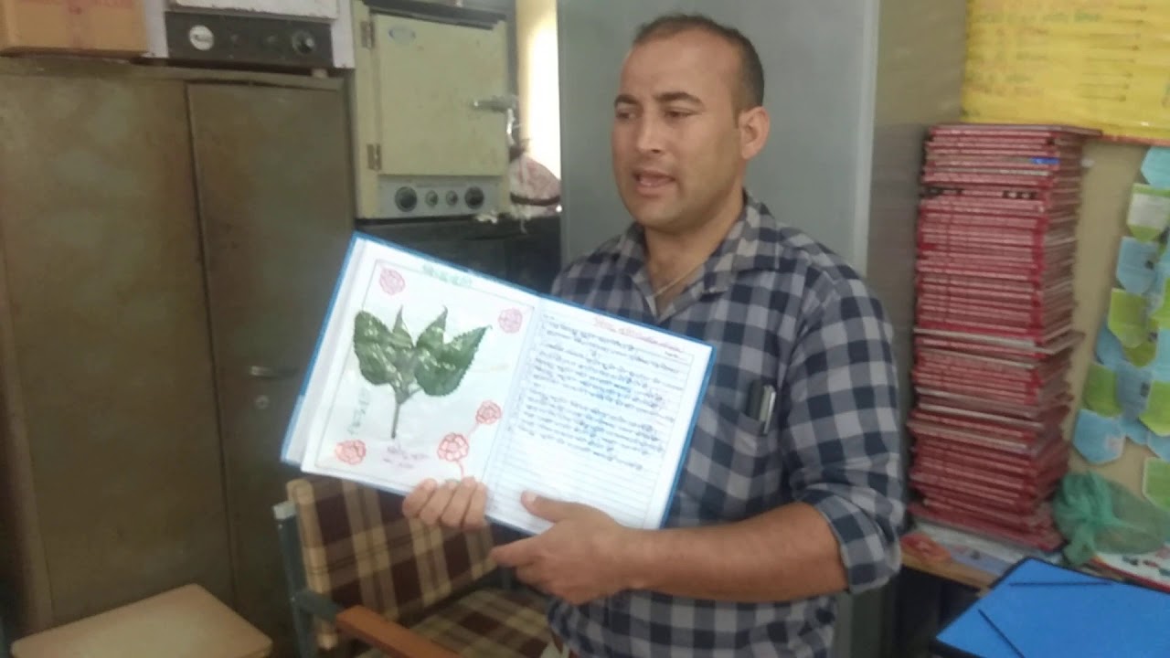 Evs project 7th class - YouTube