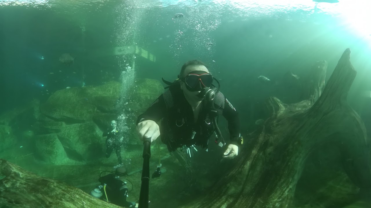 Todi Beringen Belgium VR360 Indoor Diving part 2 - YouTube