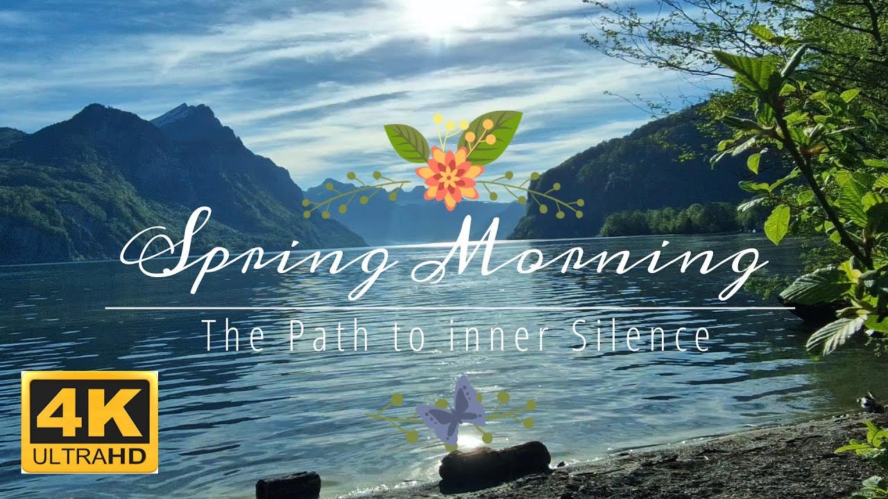 🌞4K Nature Relaxation Film 🌿🌞 Spring Morning Walk 🌞 Nature Sounds🌞 ...