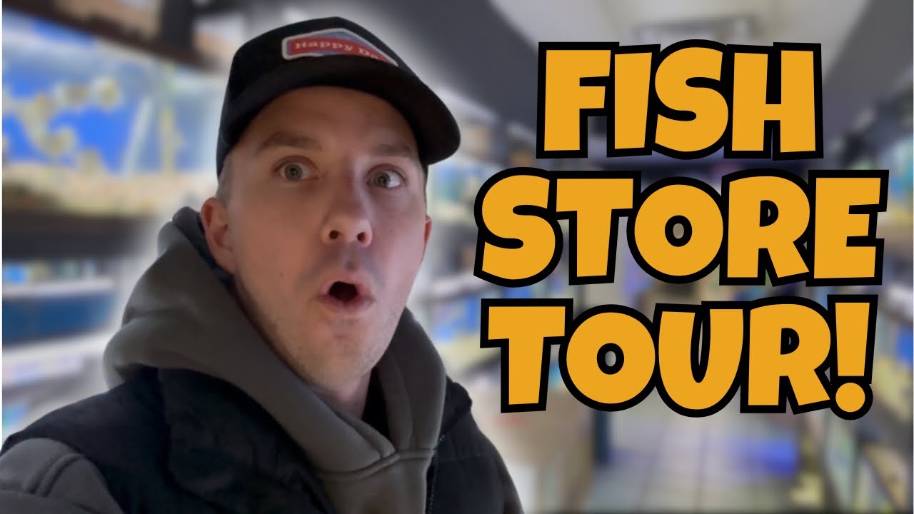 MONSTER FISH GALORE! This New York FISH STORE has it all! - YouTube