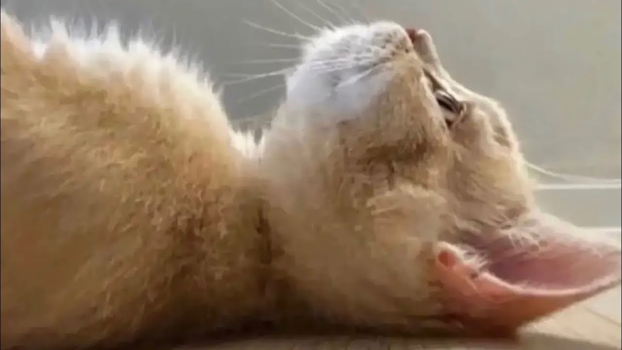 The Alchemist - Falling Out The Sky Instrumental (Slowed And Sped Up 🫡 ...