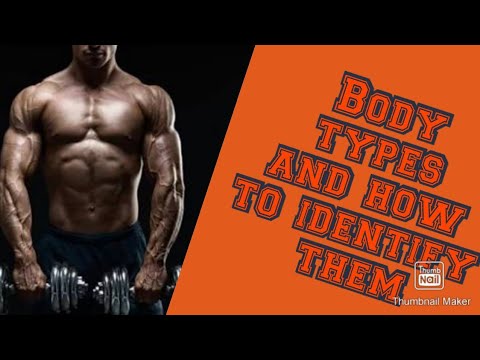 BODY TYPE'S || HOW TO IDENTIFY THEM || BASIC BODY CALCULATION'S - YouTube