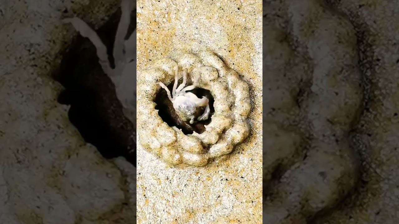 khakda @Shankar Paramanik ️ ️🙏🙏 - YouTube