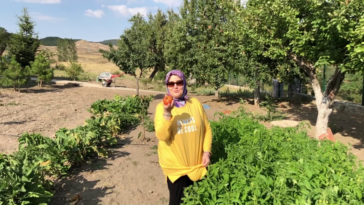 COUNTRY LIFE IN TURKEY, VILLAGE TOUR - YouTube