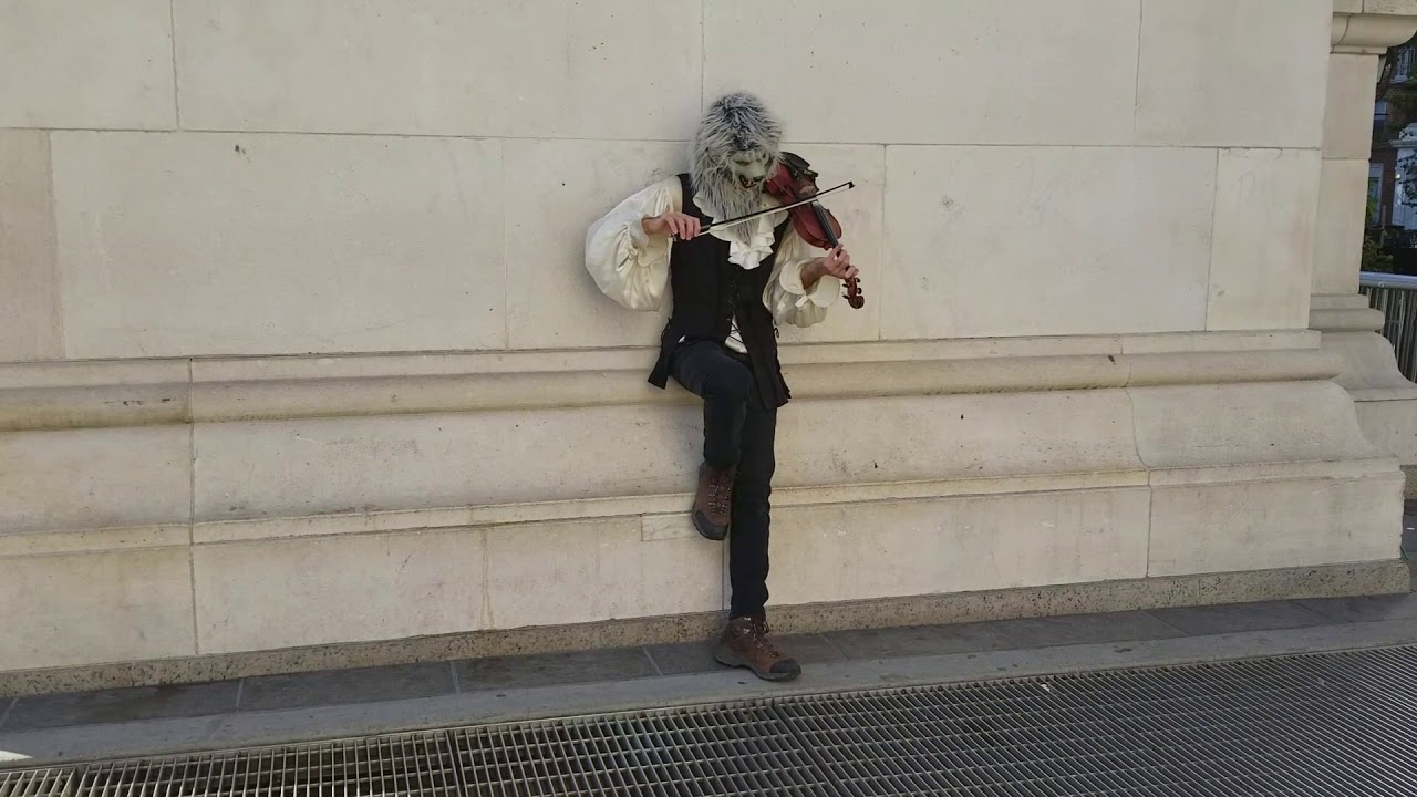 WILD WOLF PLAYING VIOLIN !!! - YouTube