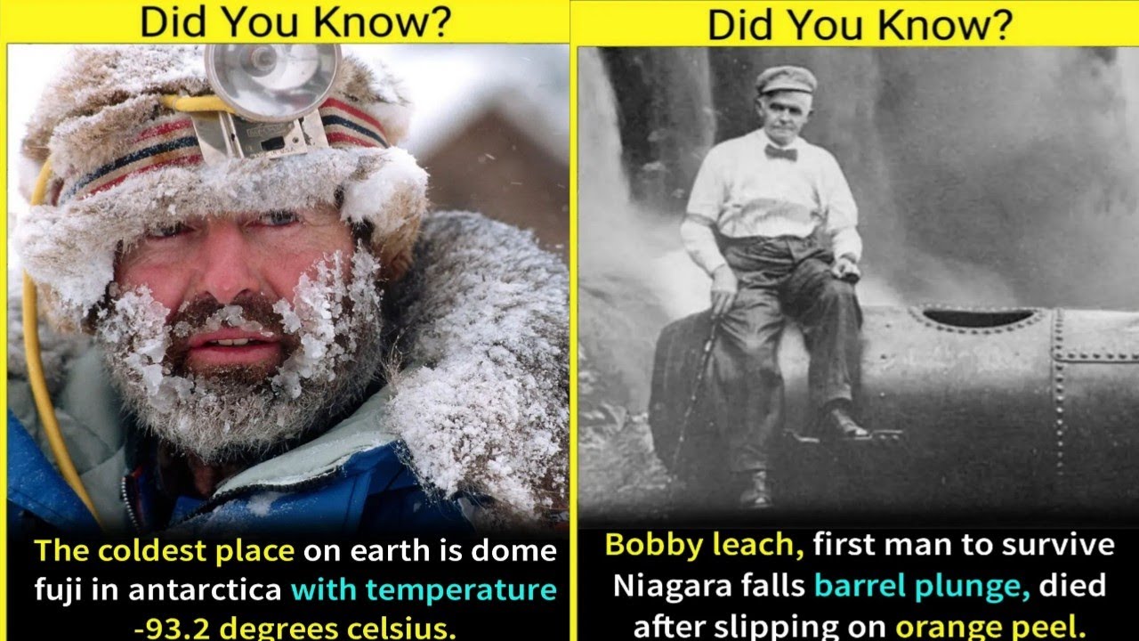 Did You Know Facts?? #113 | Amazing Random Facts You Should Know ...