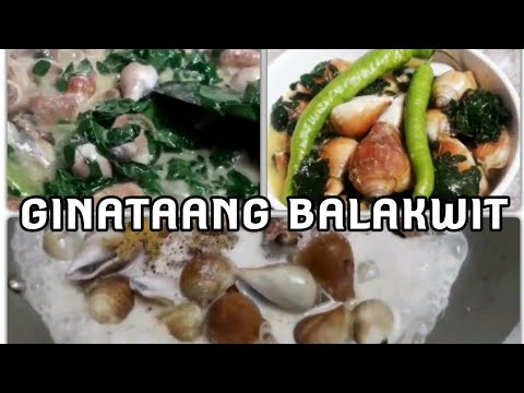 Ginataang Balakwit | Seashells with moringa in coconut milk - YouTube