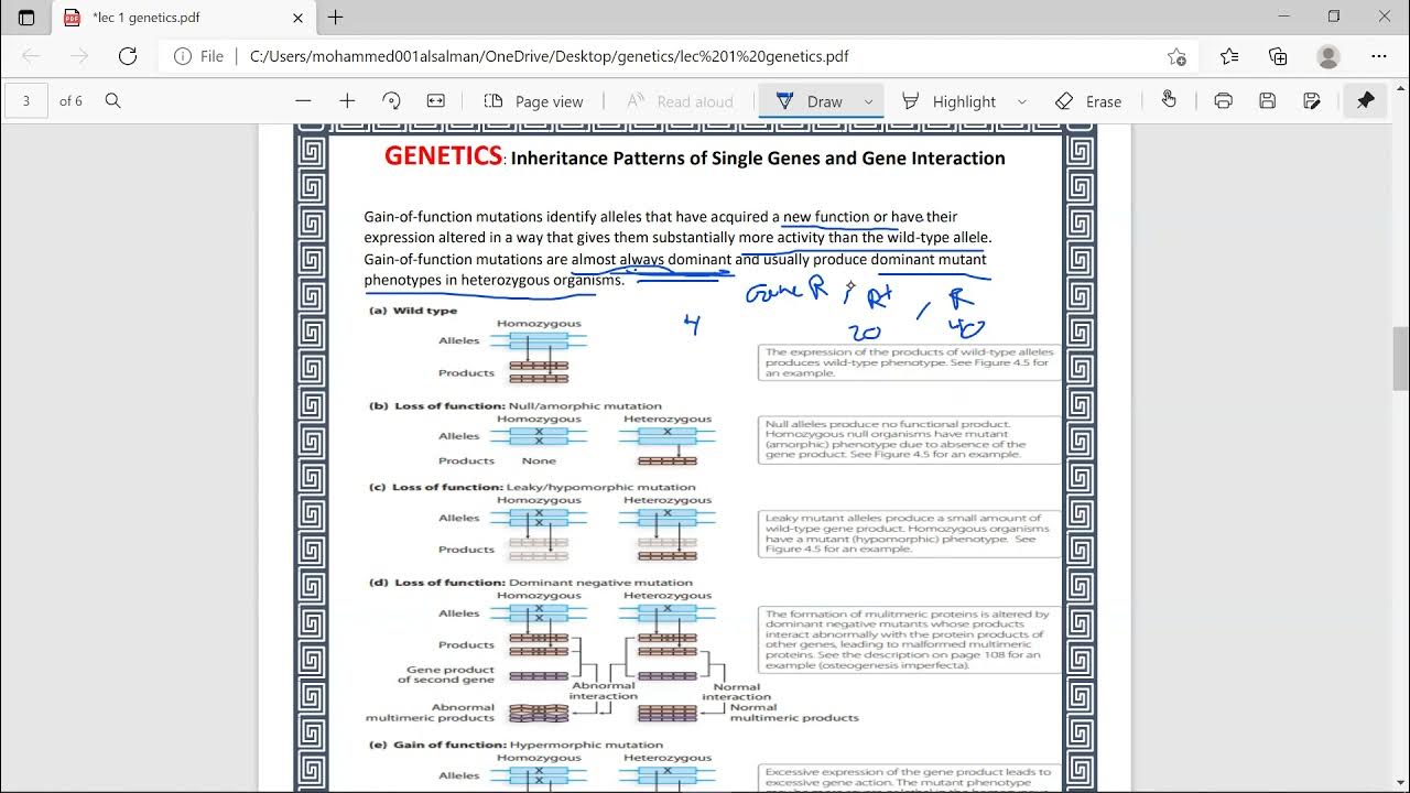 genetics lecture1 part2 - YouTube