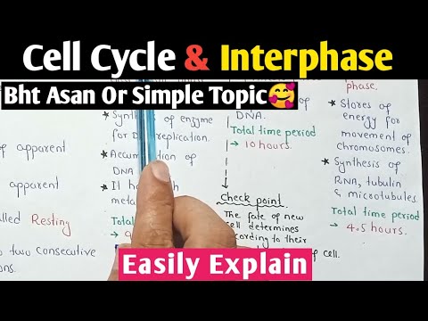 Cell Cycle | Interphase | G1, S & G2 Phase | Class 12 Biology - YouTube