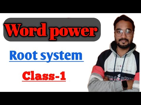 Word power/Root system - YouTube
