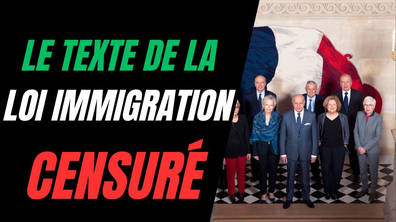 Loi Immigration Le Conseil Constitutionnel Censure Largement Le Texte