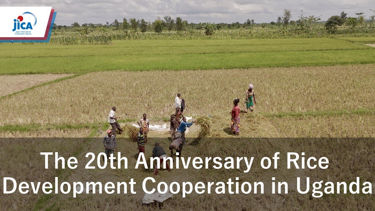 The 20th Anniversary of JICA’s support to Rice Development Cooperation ...