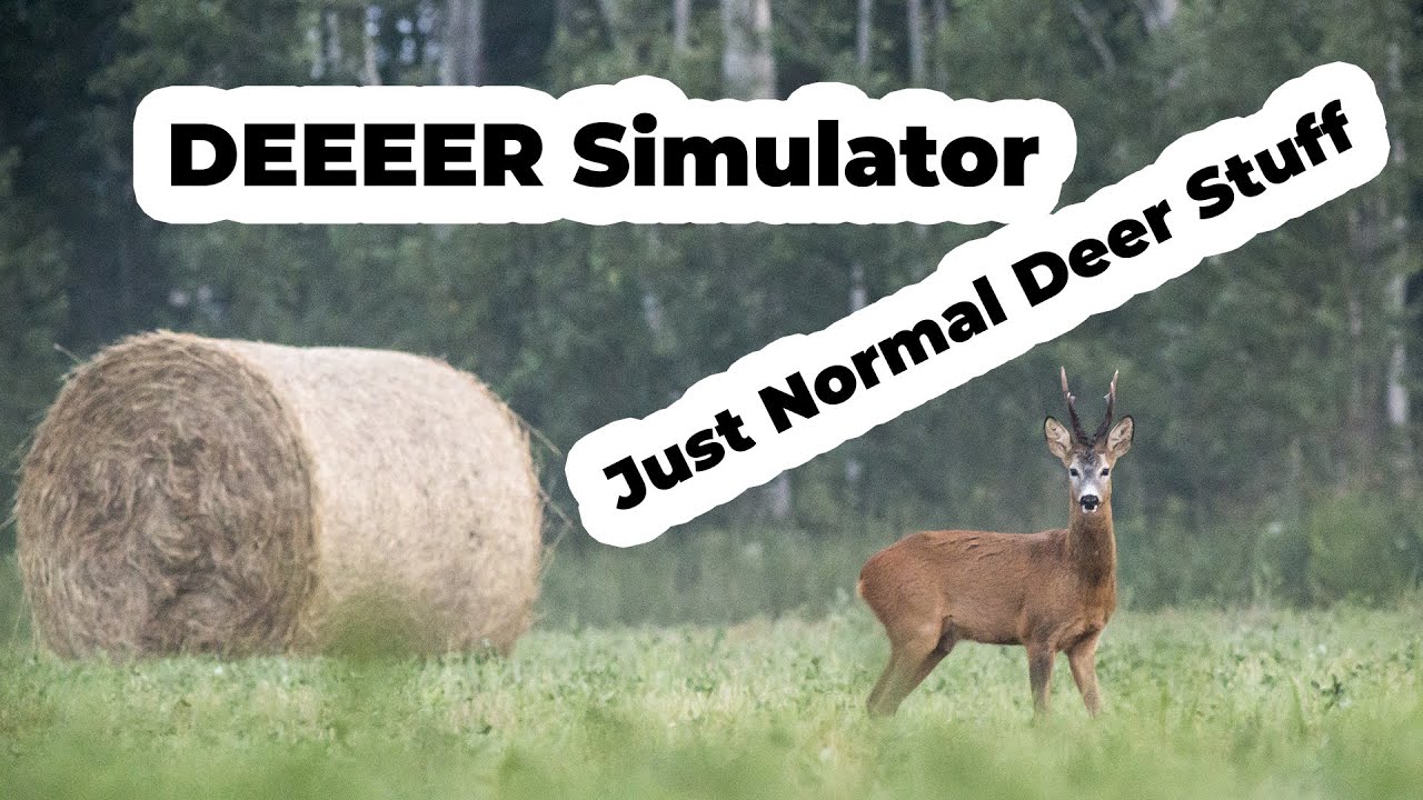 Oh Deeeer, What Have I Done? - Deer Simulator First Look - YouTube