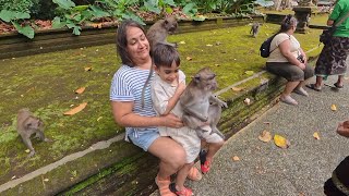 Sangeh Monkey Forest - Feeding and Tour
