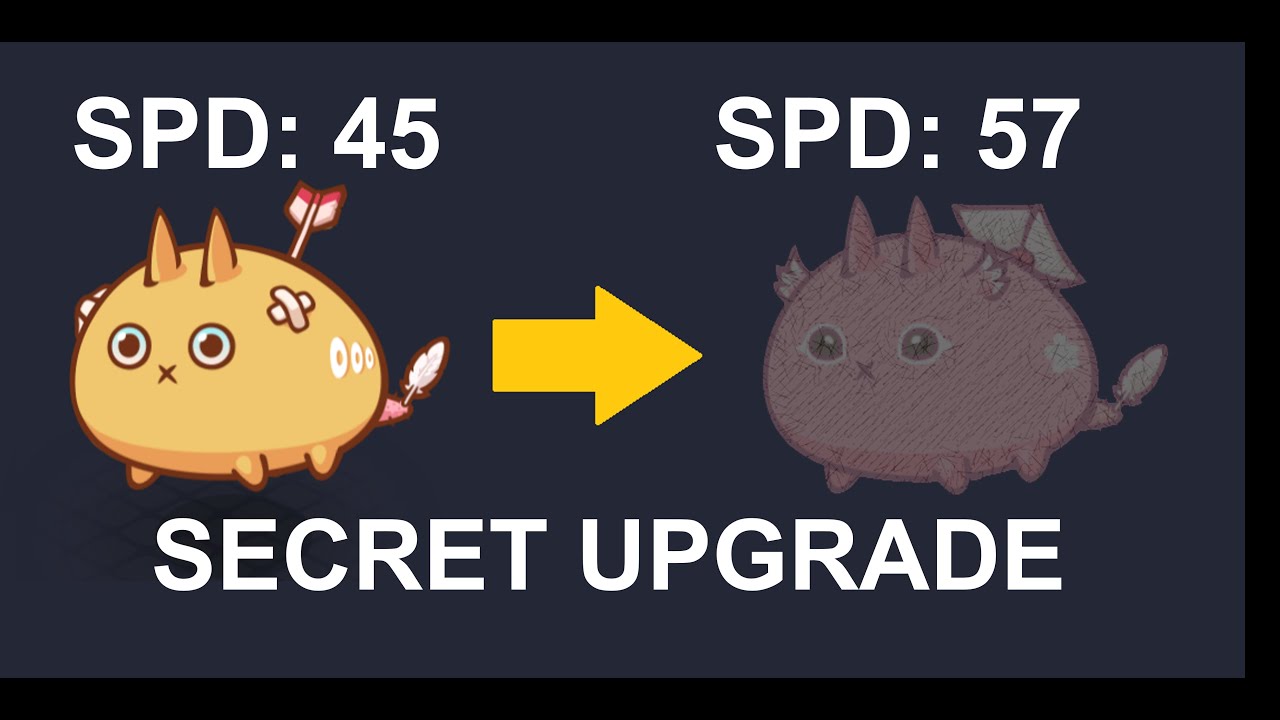 All Out Shot + Axie Kiss + Dual Blade | UPGRADED | Axie Infinity ...