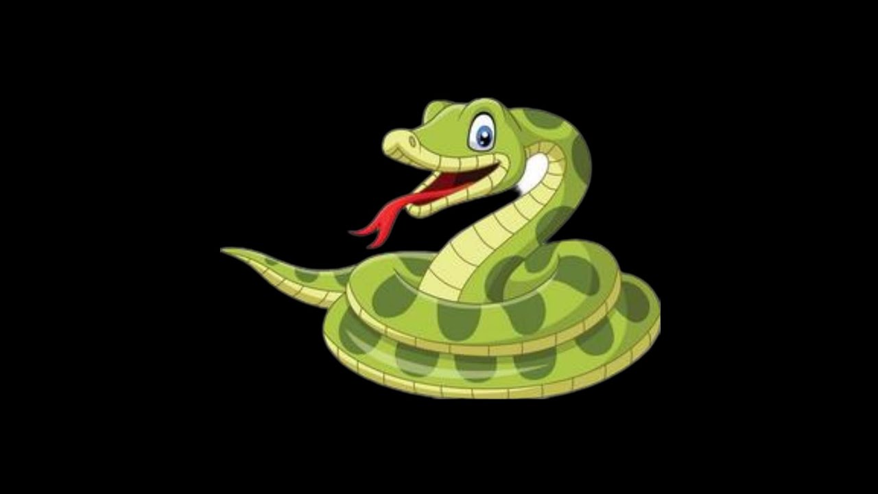 Meet Sally the Science Snake: Do you know what M💰ney is? - YouTube