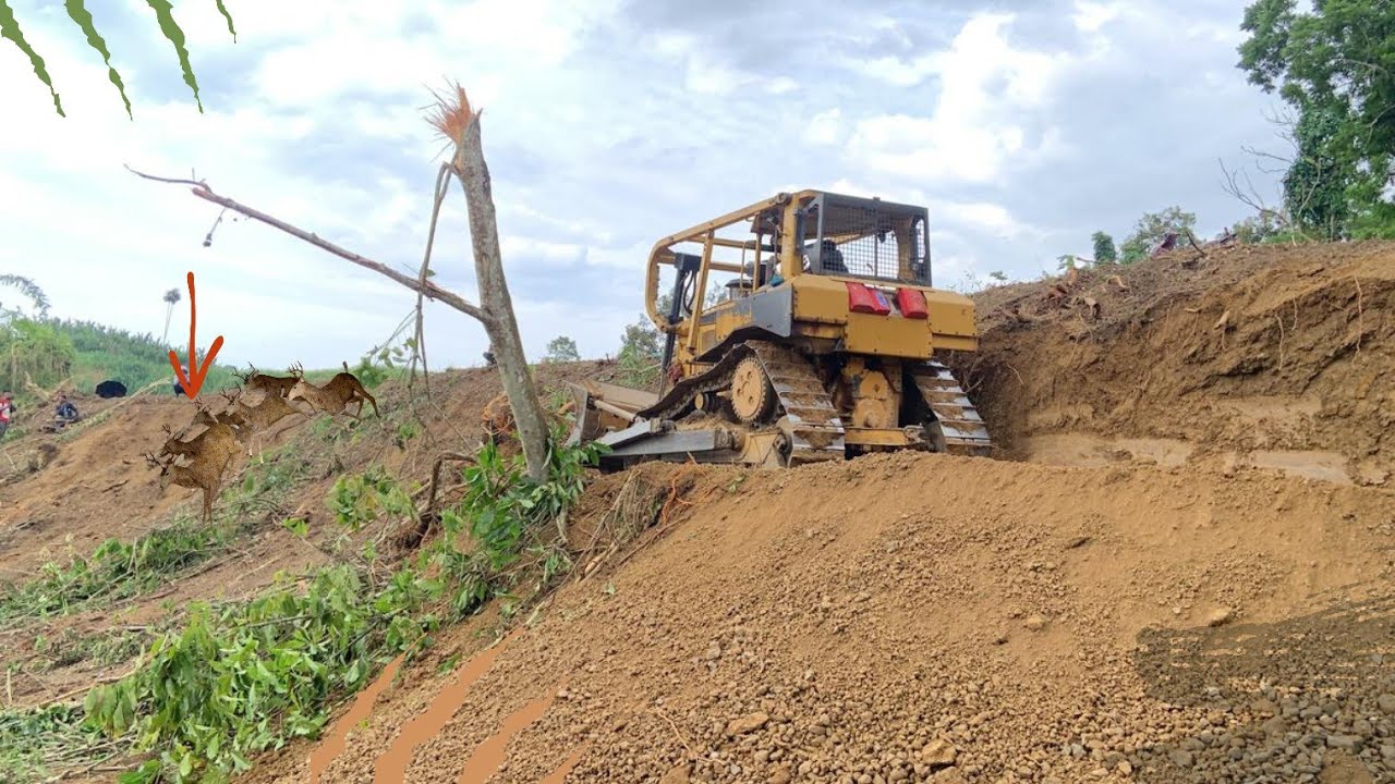 Bulldozer D6R || The initial process of making Palm Oil Terrace - YouTube