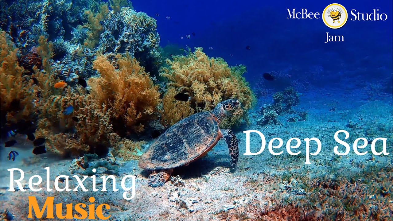 Deep Sea Relaxing Music - YouTube
