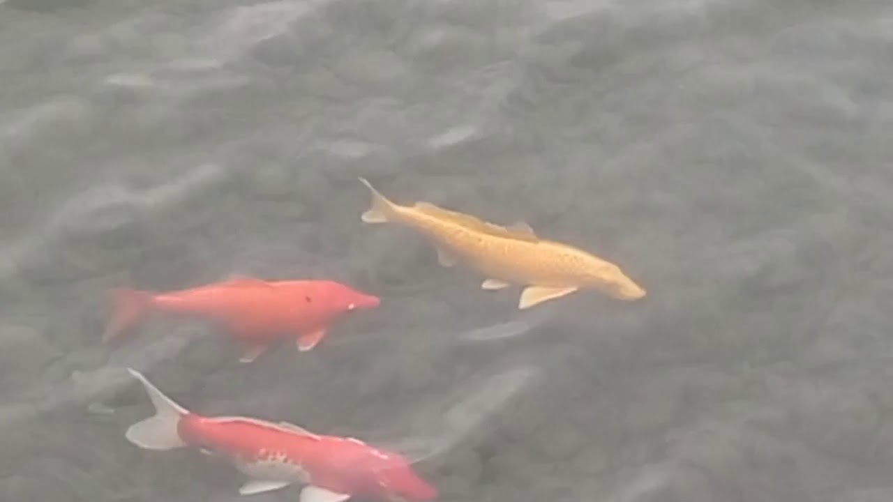 THE INSPIRATION LAKE RECREATION CENTER - YouTube