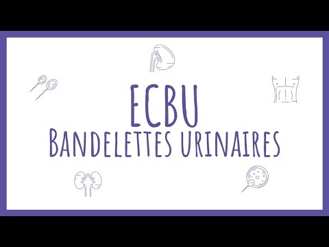 Sémiologie Urologique - Bandelette Urinaire & ECBU - YouTube