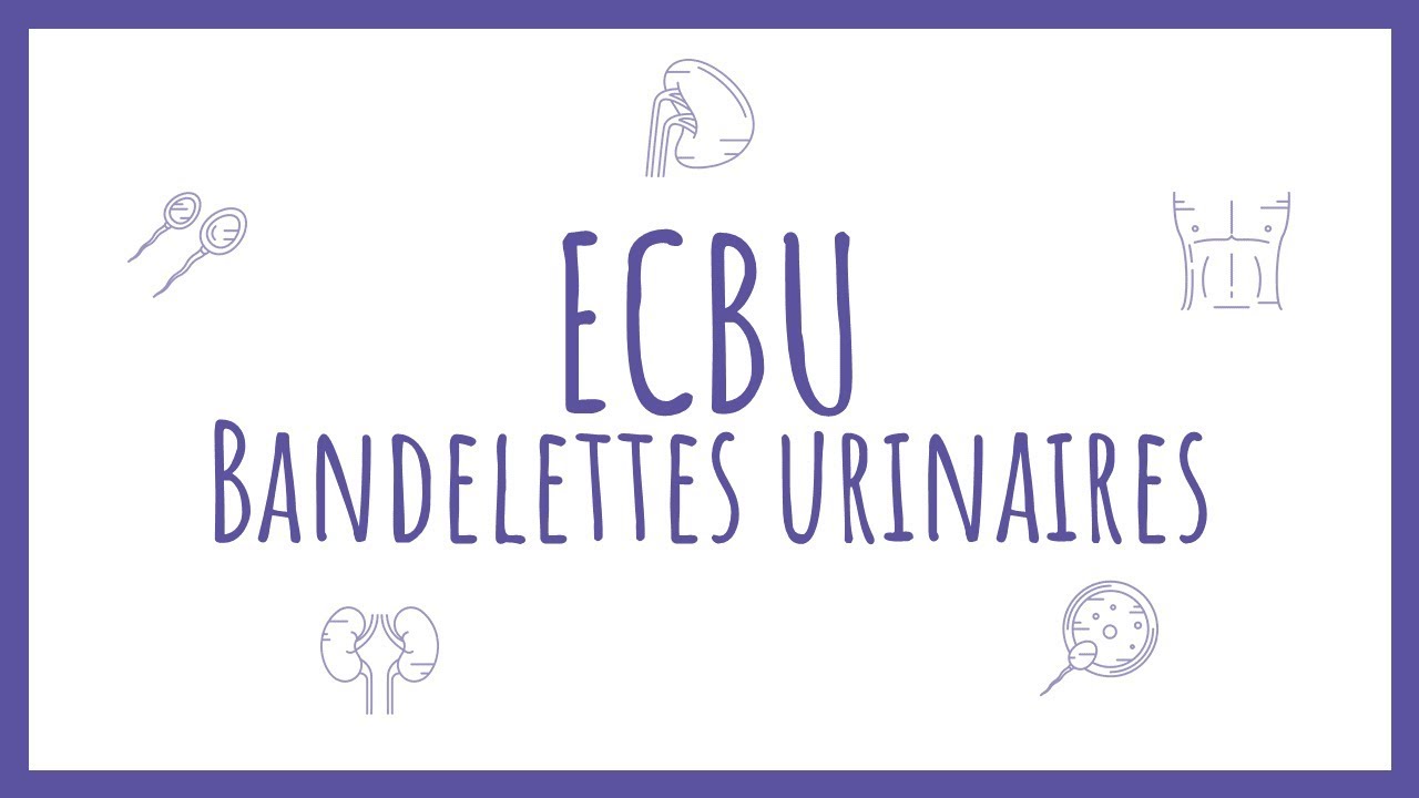Sémiologie Urologique - Bandelette Urinaire & ECBU - YouTube