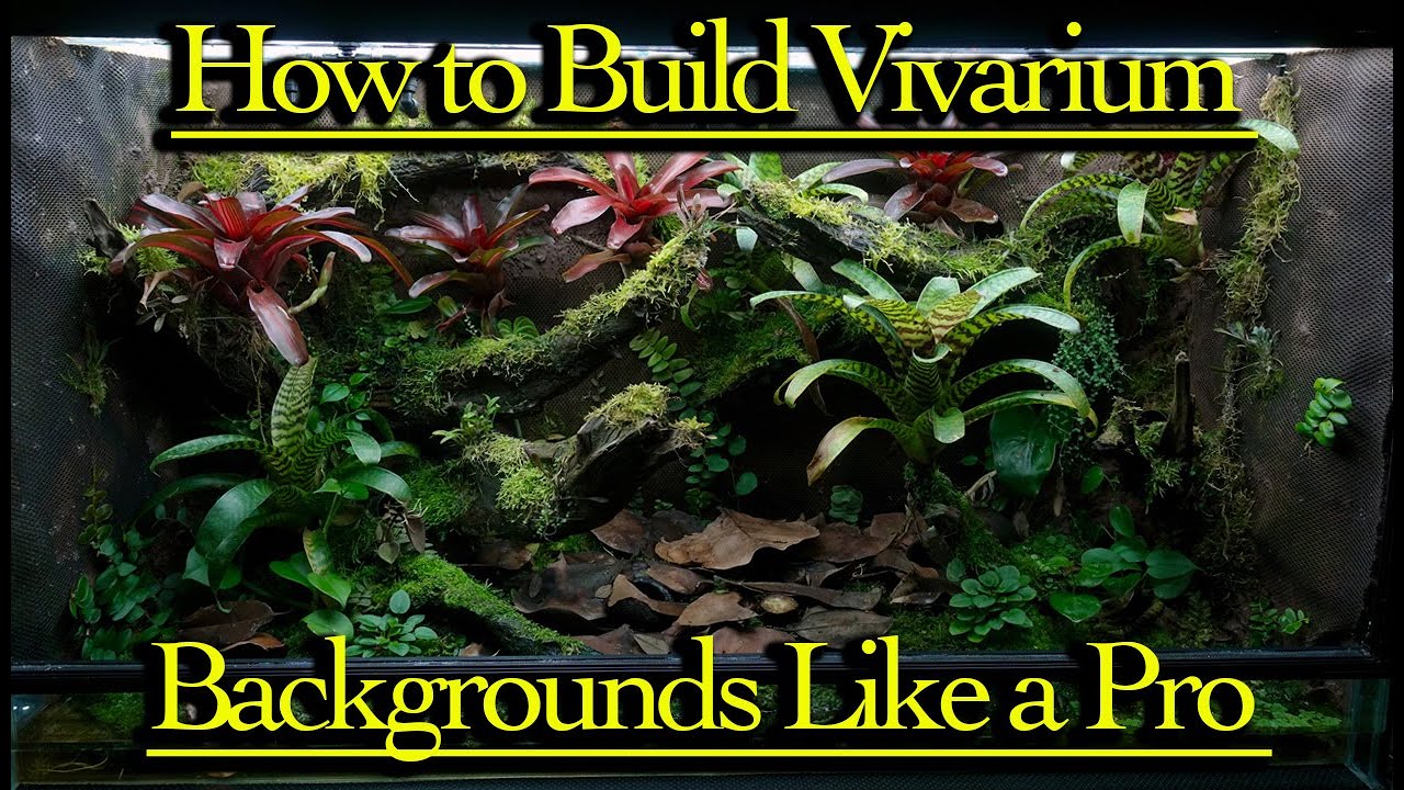 Vivarium Build
