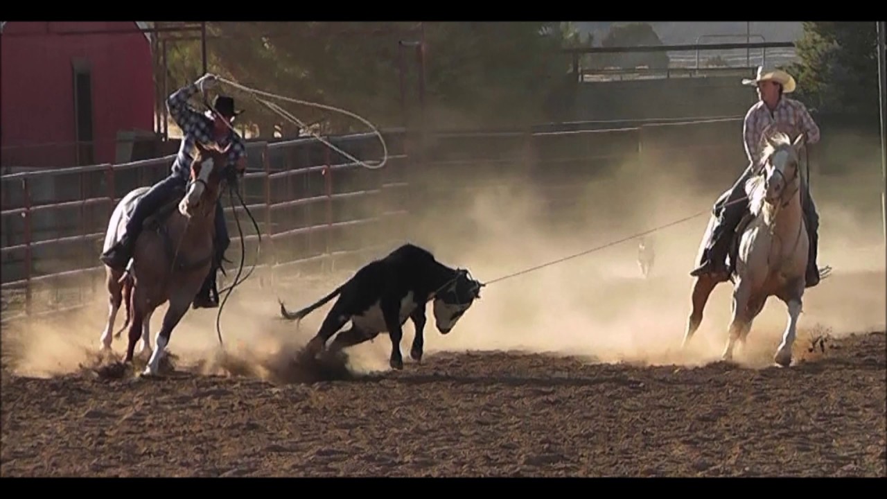 TEAM ROPING HORSE - Margarita video - SOLD - YouTube