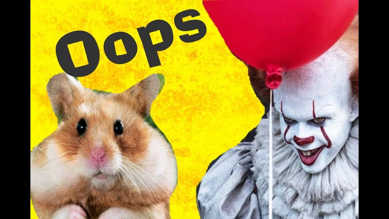 Cute Hamster vs Funny EVIL Clown MAZE - Hamster Adventures - YouTube