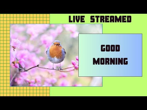Good morning | live streaming | relaxing time #livebroadcast # ...