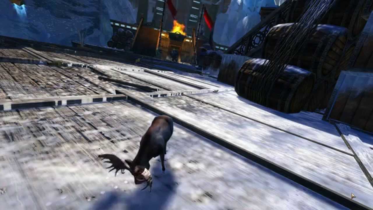 GW2 Mini Red Panda and Miniature Moose (350 gems) - YouTube