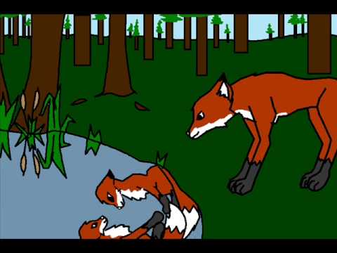 Singing fox animation [CONTEST ENTRY] - YouTube