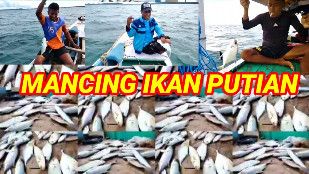 Mancing ikan putian - YouTube