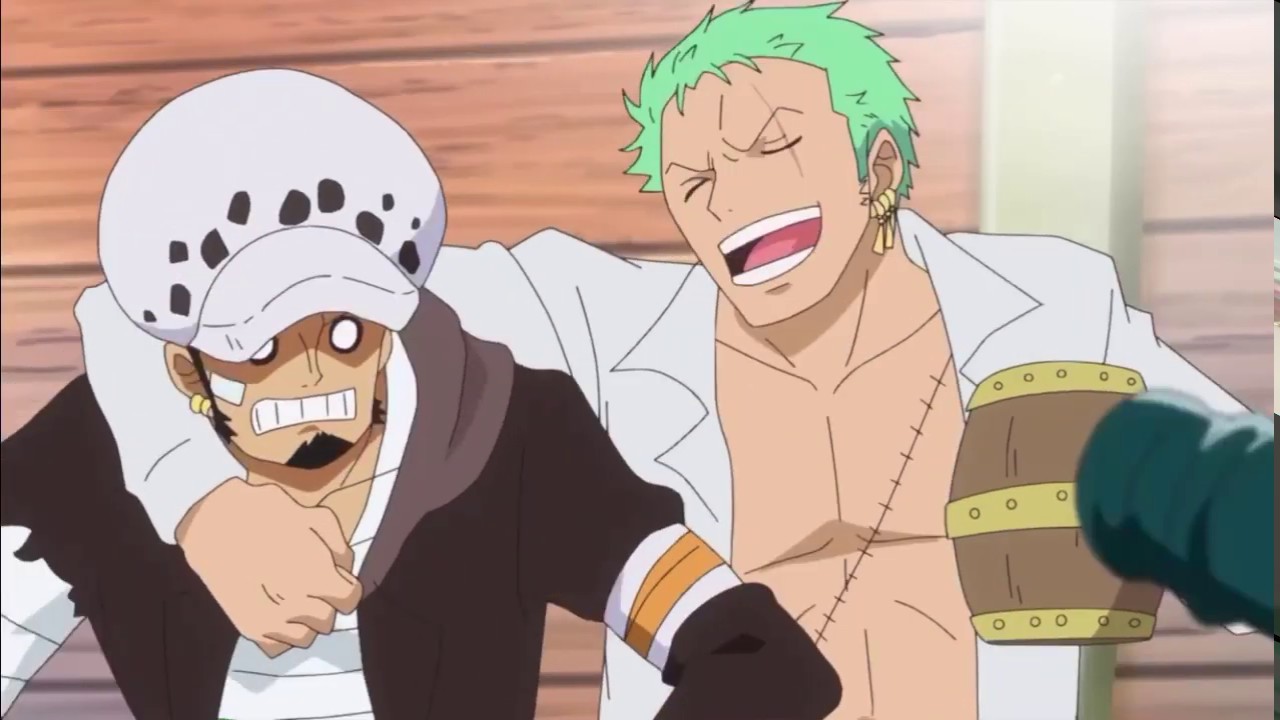 Law Vs Zoro