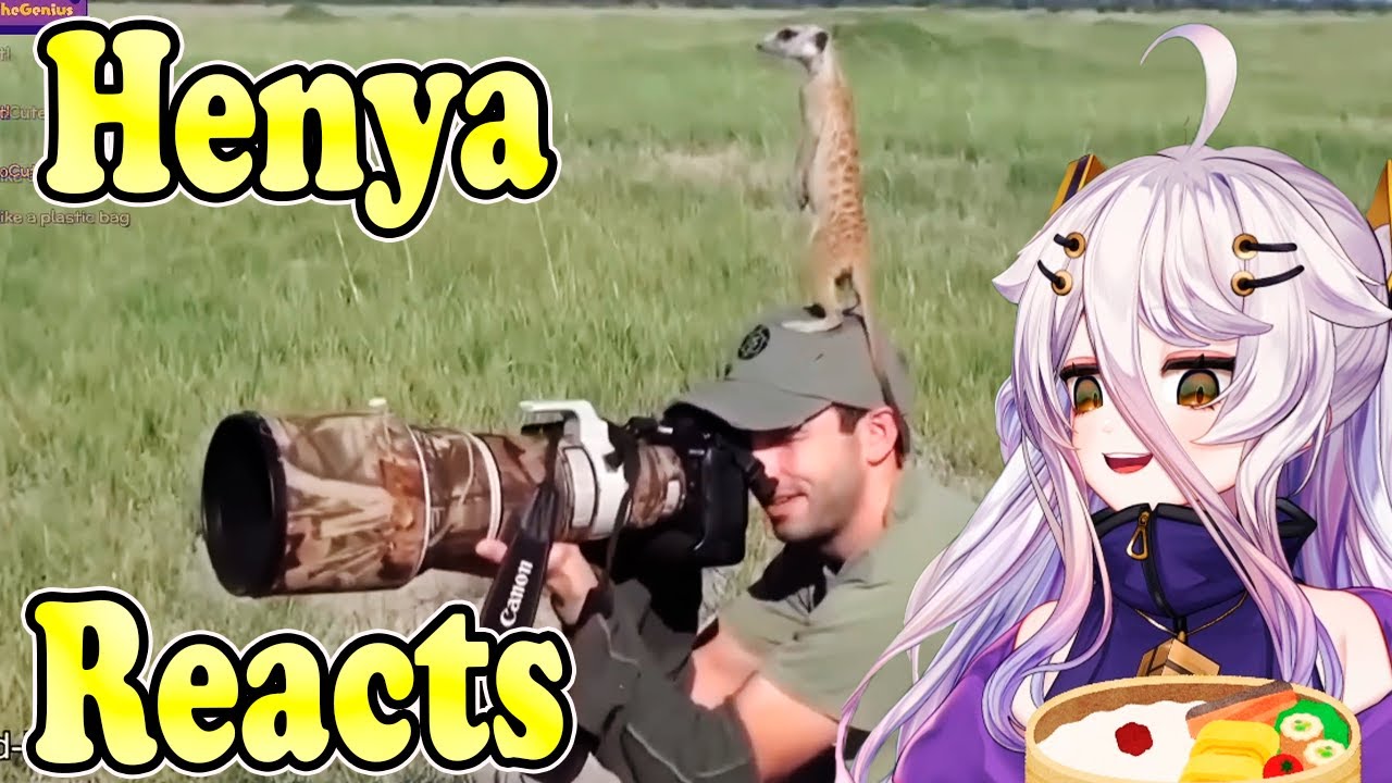 Henya Reacts | Daily Dose Of Internet | Try Not To Laugh - YouTube