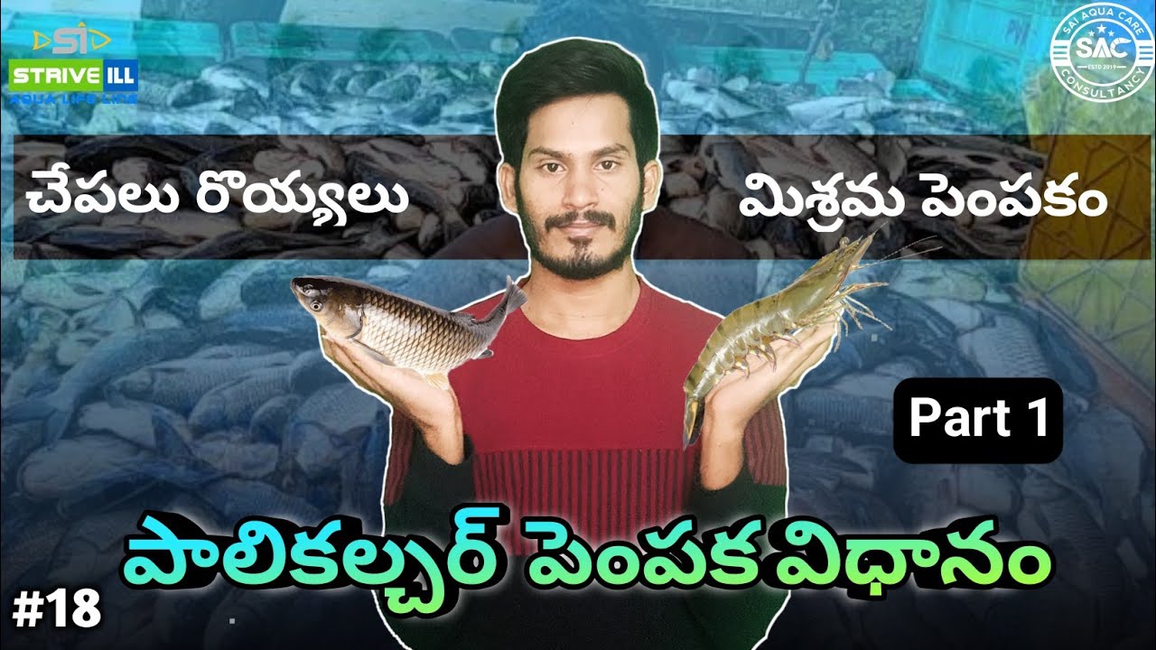 poly-culture farming||Aquaculture||shrimp farming & fish farming # ...