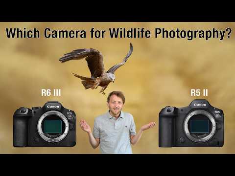 Canon R6 III or R5 II—Which One Is the Right Camera for YOU?