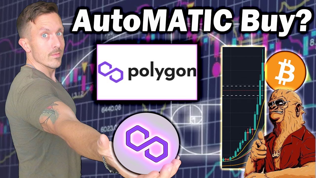 Why YOU should consider adding Polygon (MATIC) to your ALTCOIN bag ...