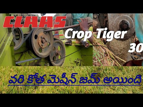 Crop Tiger 30 Paddy Harvesting|Harvester Jamed|Claas Harvesters|Crop ...