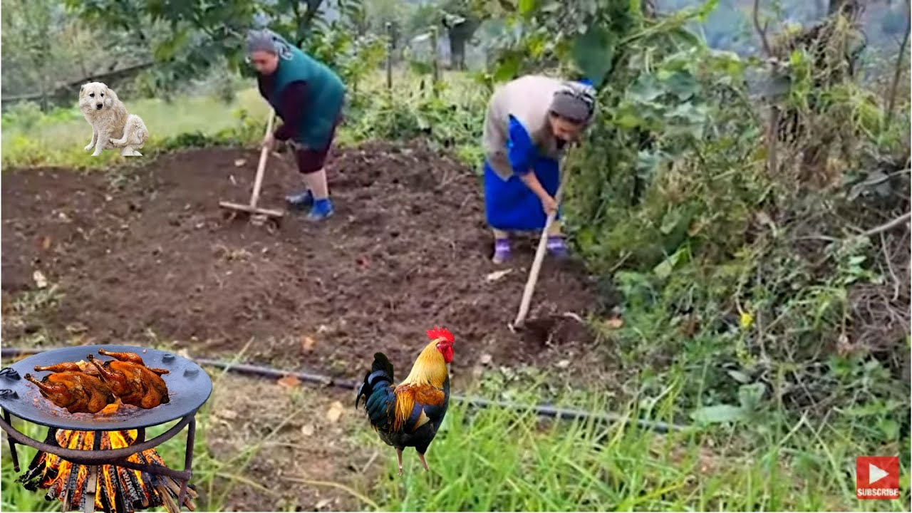 ON THE TOP OF THE MOUNTAIN, GRANDMOTHERS COOKED CHICKEN WITH ...
