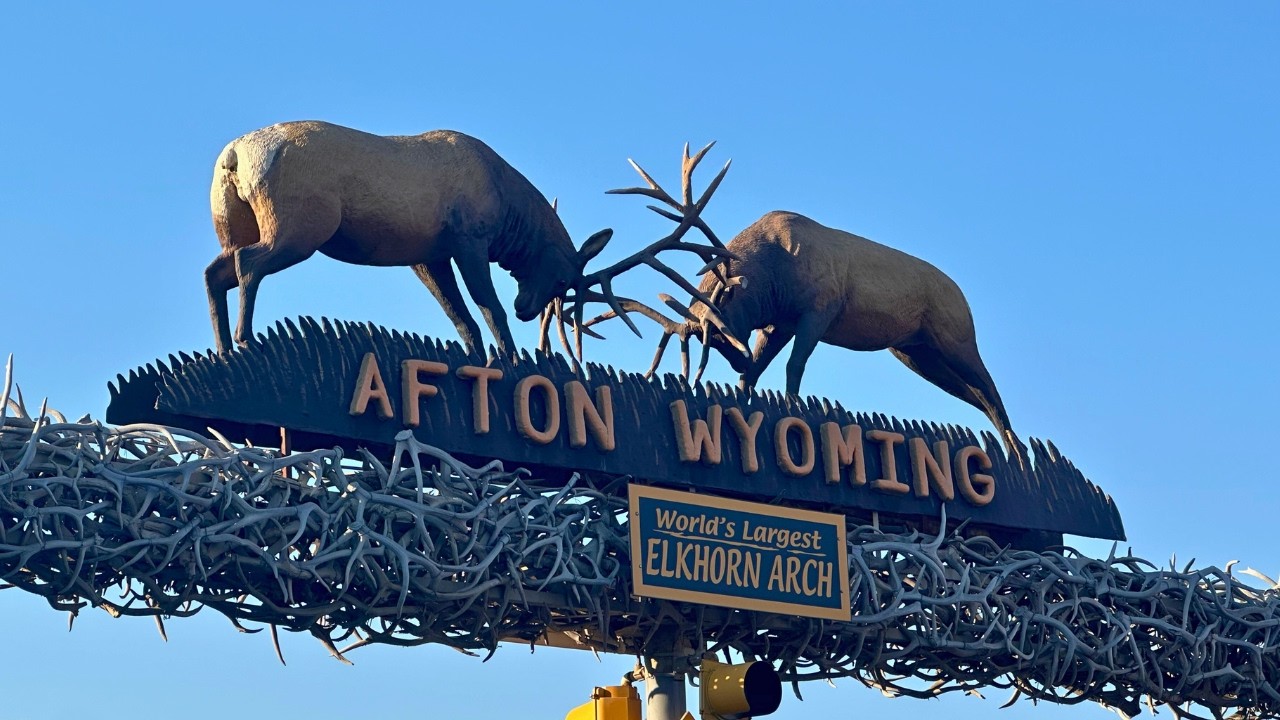 Ultimate Wyoming Elk Horseback Hunting Adventure - YouTube
