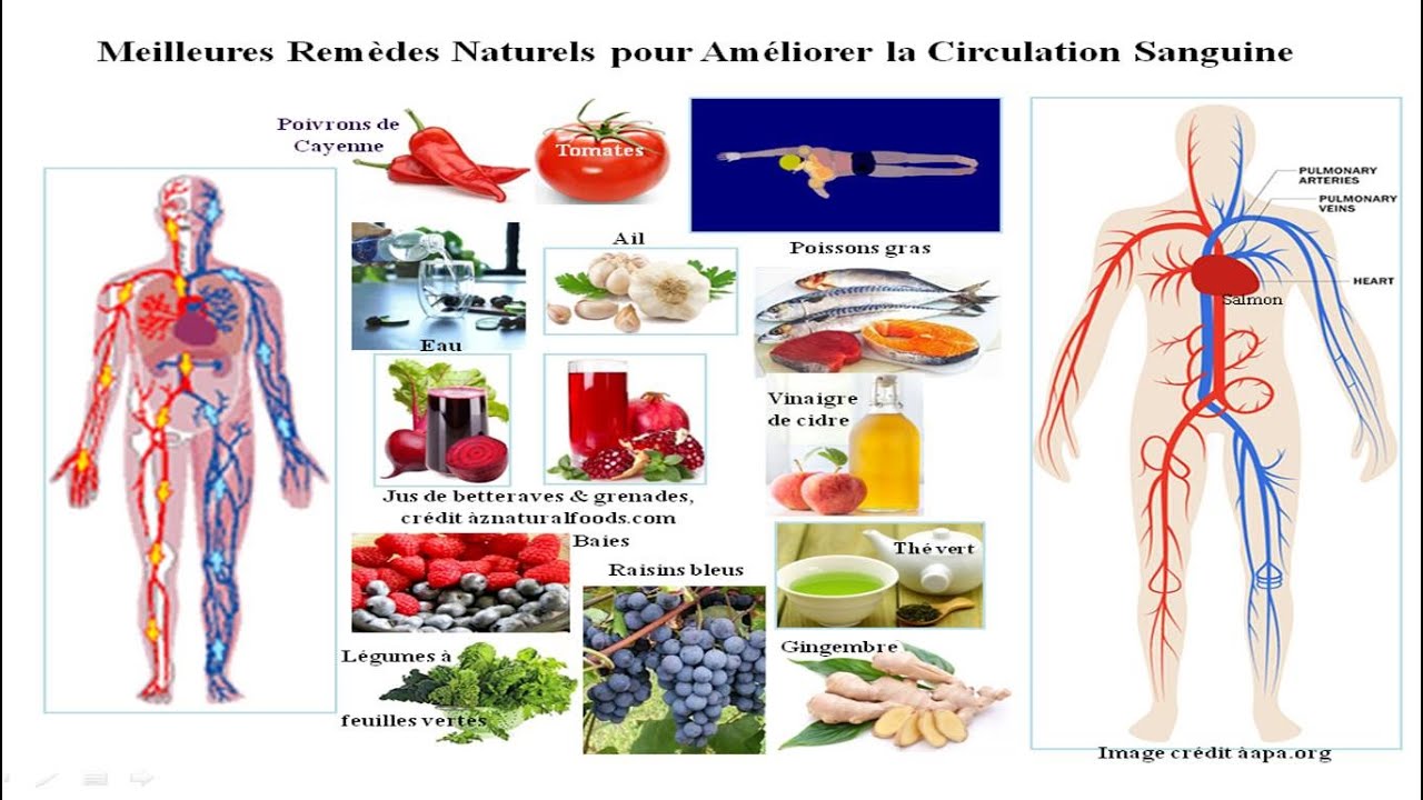 Meilleures Remèdes Naturels pour Améliorer la Crculation Sanguine - YouTube