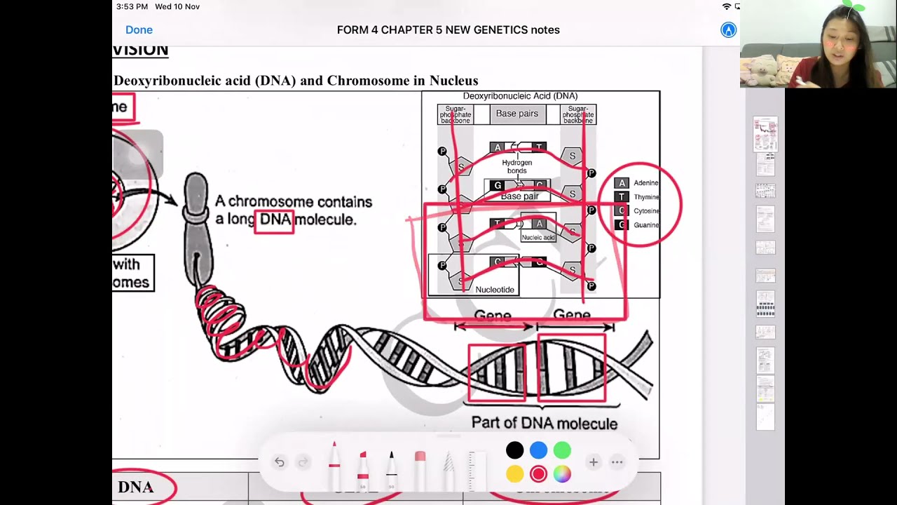 [SPM SCIENCE] FORM 4 CHAPTER 5 GENETICS || 邹老师课室 || 重点式复习 || 读来读去都不明白，听 ...