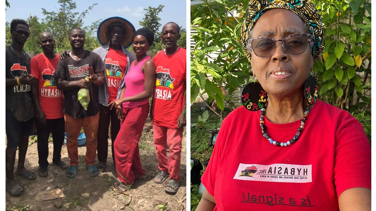 Watch Nature Thrive In Our Food Forests In Africa - YouTube