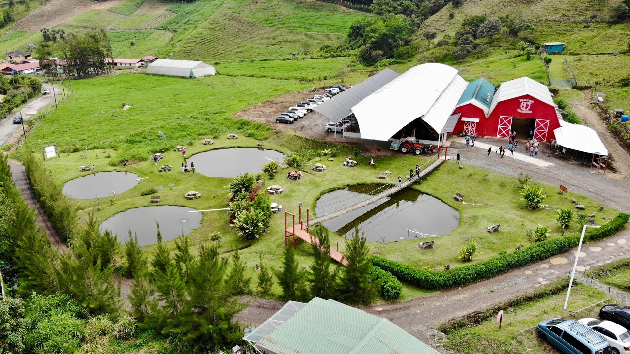 HARAS TURRIALBA caballos costarricenses de paso🐴 🇨🇷 - YouTube