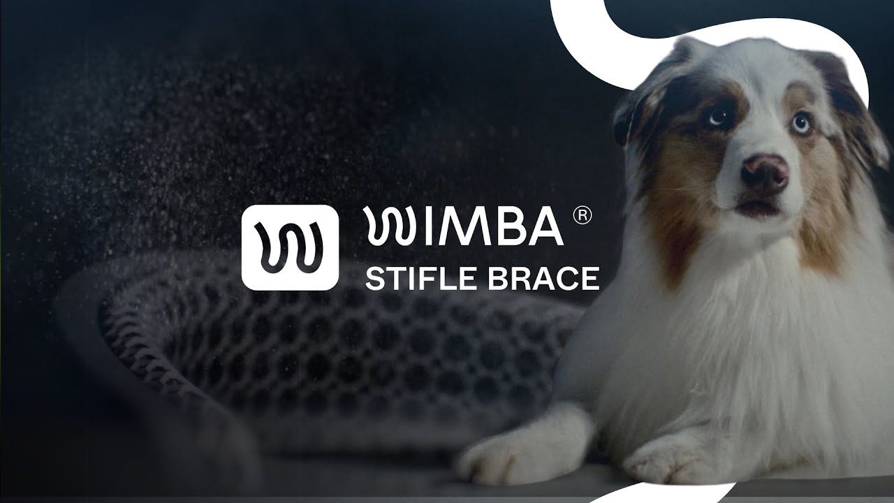 Announcing WIMBA Stifle Brace - Dog Knee Orthosis - YouTube